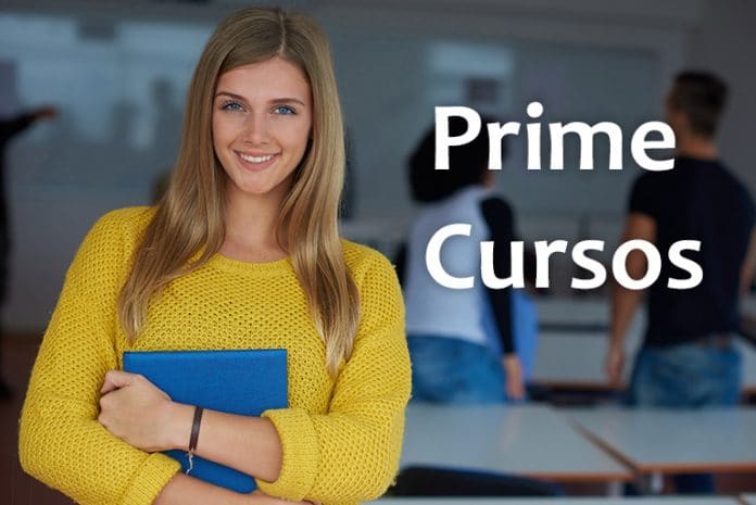 Educa Mais Brasil O Que é E Como Funciona Prime Cursos