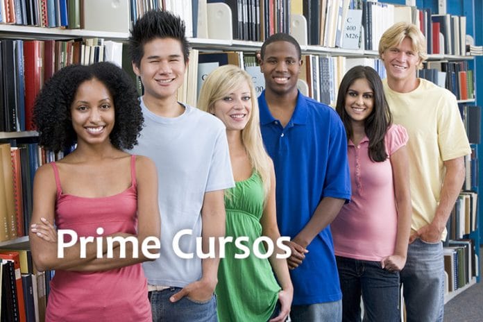 Educa Mais Brasil O Que é E Como Funciona Prime Cursos