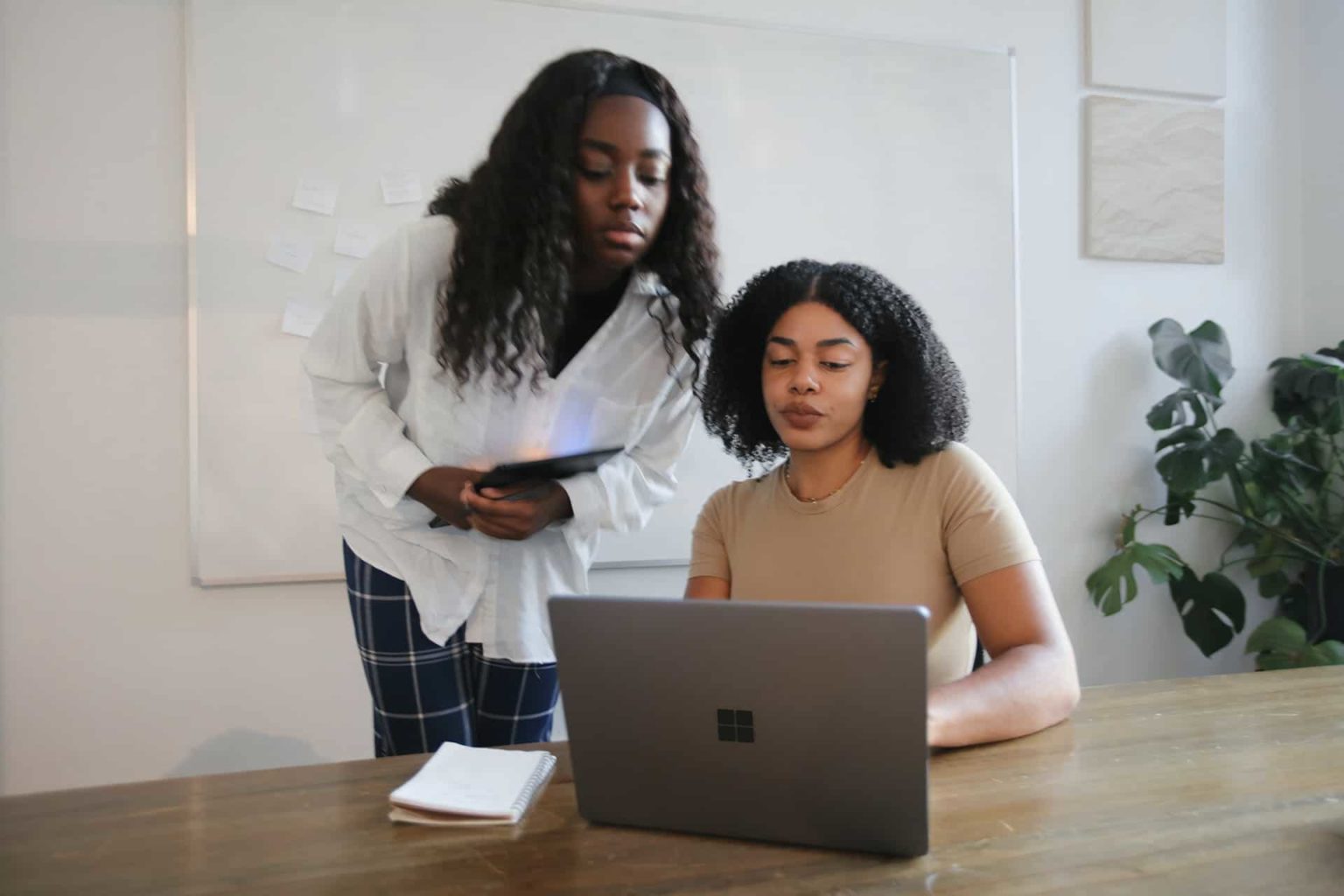 Saiba um pouco mais sobre a ONG WWF | Prime Cursos