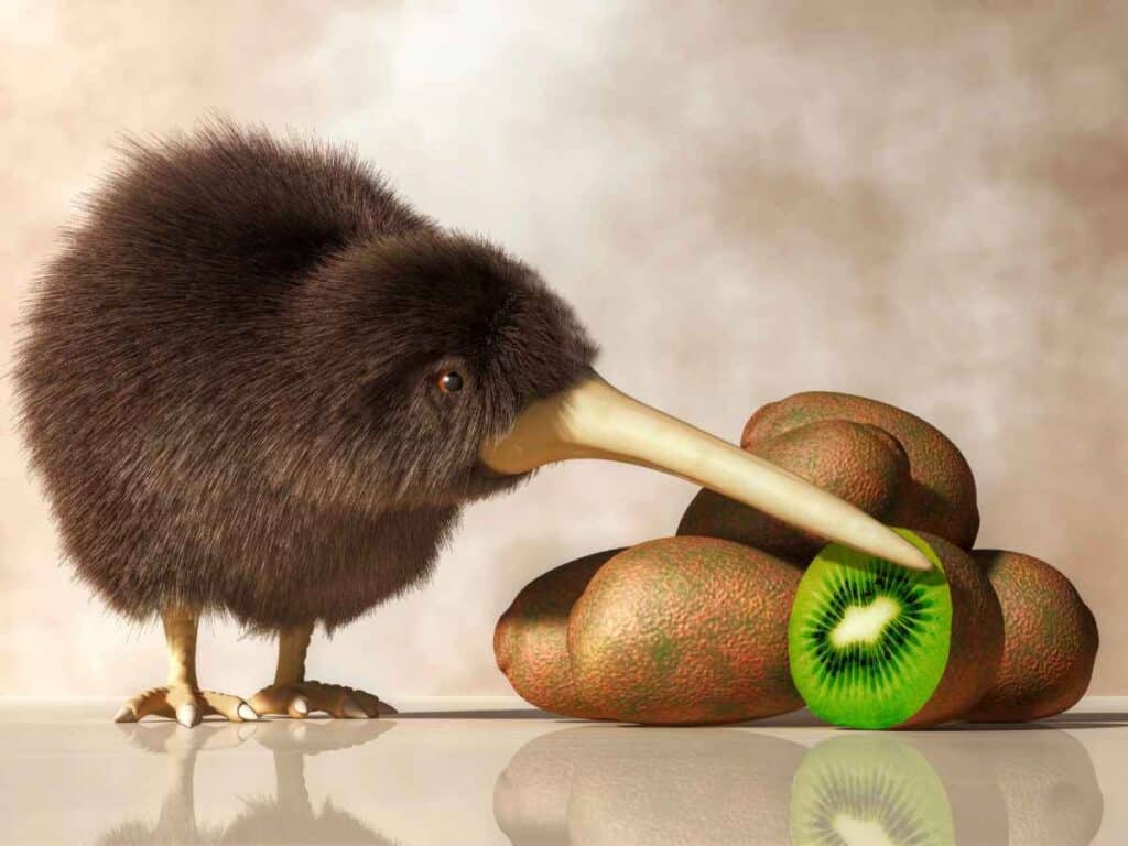 Kiwi, quivi ou quiuí: Qual é a forma correta? | Prime Cursos