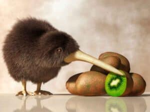 Kiwi, quivi ou quiuí: Qual é a forma correta? | Prime Cursos