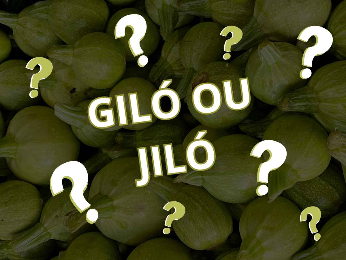Jiló ou giló? Veja o que dizem os dicionários | Prime Cursos